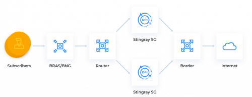 Carrier Grade NAT (CG-NAT/CGN): implementation of network adress ...
