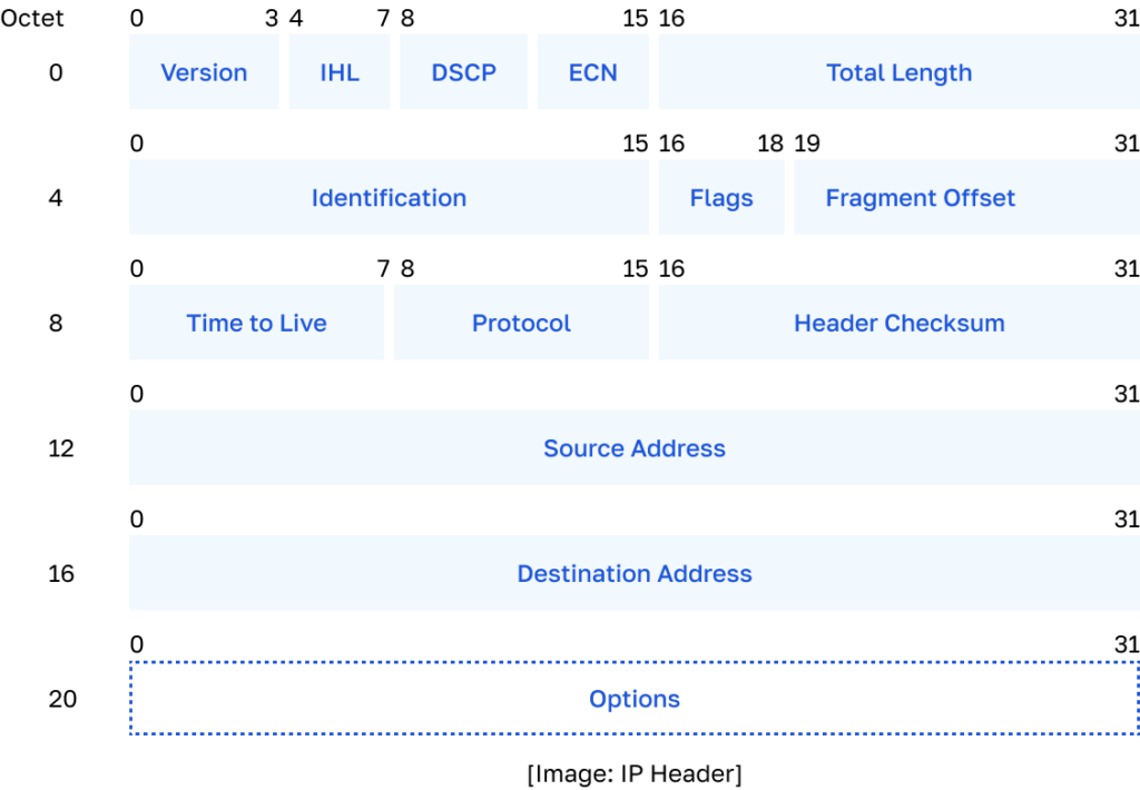 IPv4 and IPv6